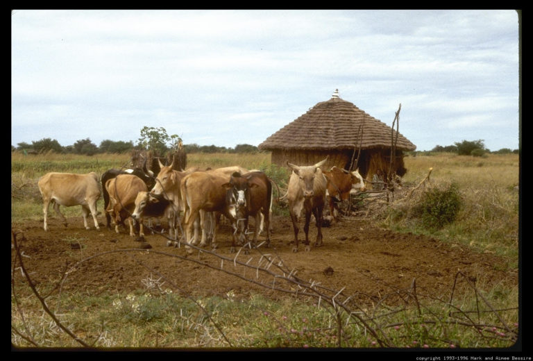 Sukuma Culture and Tanzania – Sukuma Museum